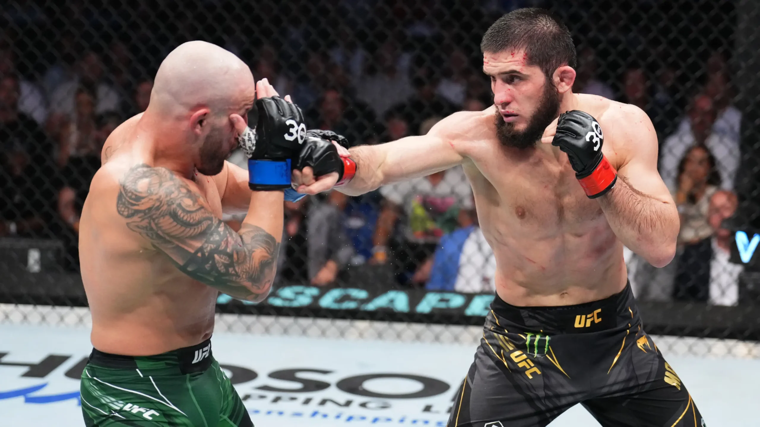 Guida scommesse sulla UFC e MMA - KikoBet Blog